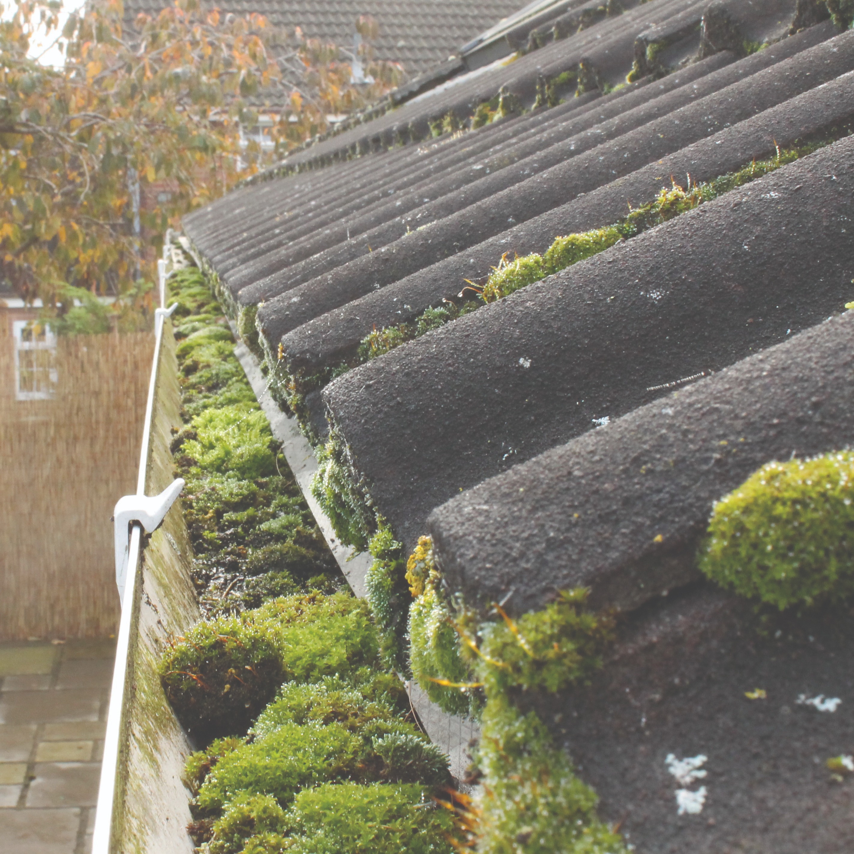 Home [advancesteamcleaning.co.uk]